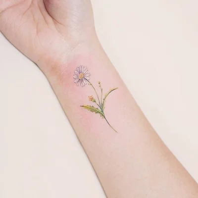 Verwunderlich Tattoo Ganseblumchen Bedeutung Fotos